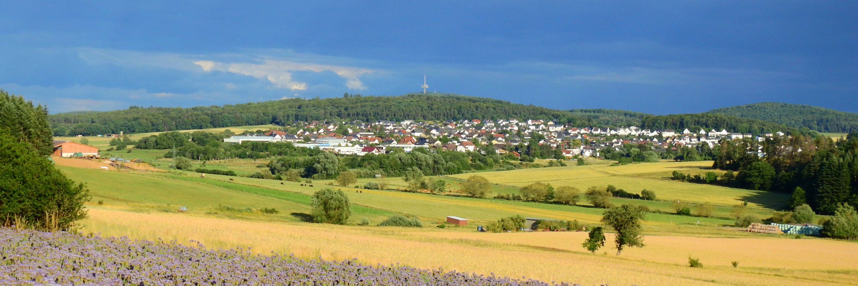 Erda | Gemeinde Hohenahr